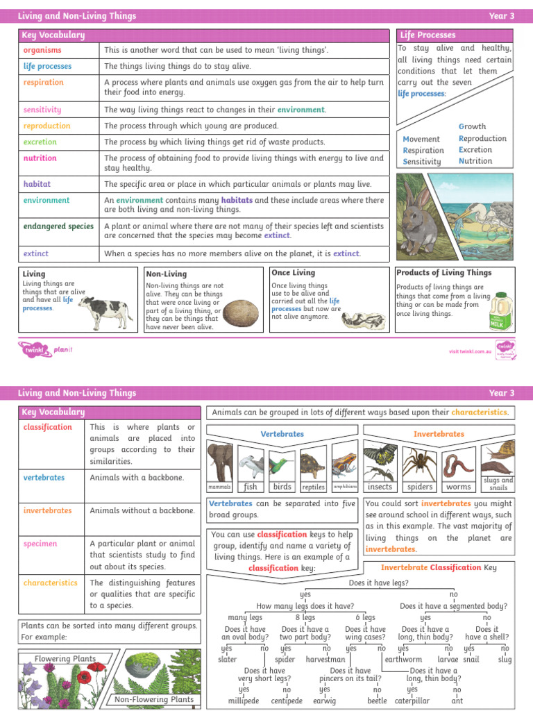Living and Non-Living Things Knowledge Organiser Super Eco | PDF ...