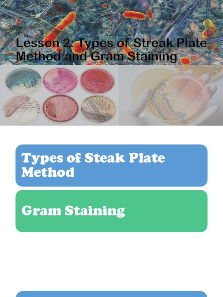 Streak Plate Methods in Microbiology | PDF | Staining | Gram Positive ...