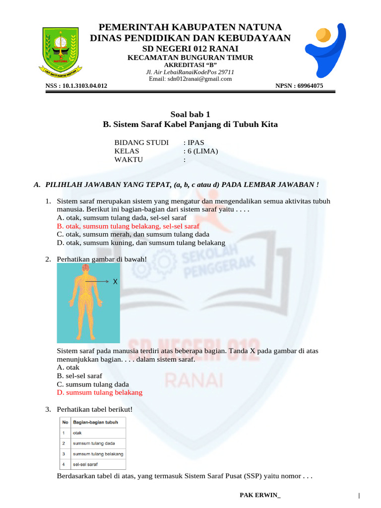 Hubungan Sistem Saraf dan Gerak Tubuh | PDF