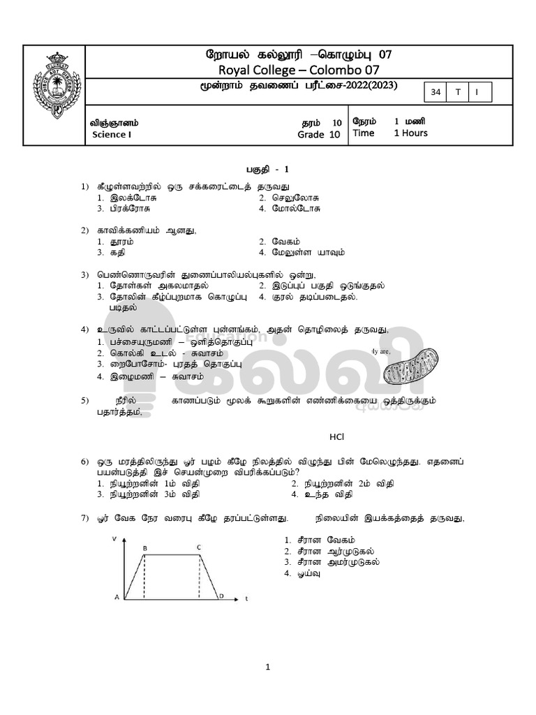 Gr10 Ta Science 2022 Term 3 | PDF
