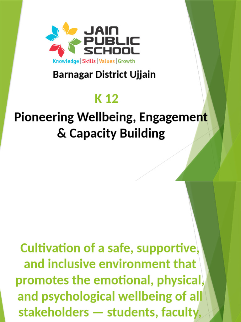 K-12 Wellbeing and Support Programs | PDF | Bullying | Mental Health