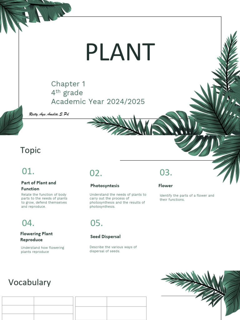 Understanding Photosynthesis in Plants | PDF | Photosynthesis ...