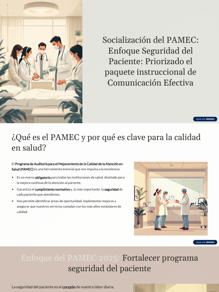 PAMEC 2025: Seguridad del Paciente y Comunicación | PDF | Seguridad del ...