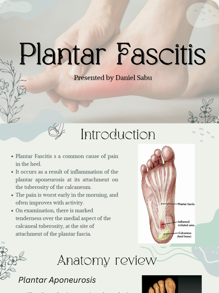 Understanding Plantar Fasciitis Causes | PDF | Foot | Musculoskeletal ...