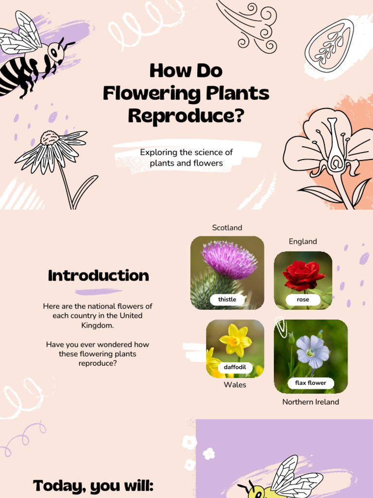 How Flowering Plants Reproduce | PDF | Flowers | Pollination