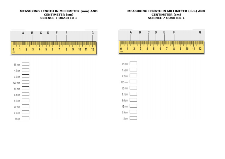 Ruler Activity: Measuring Lengths | PDF