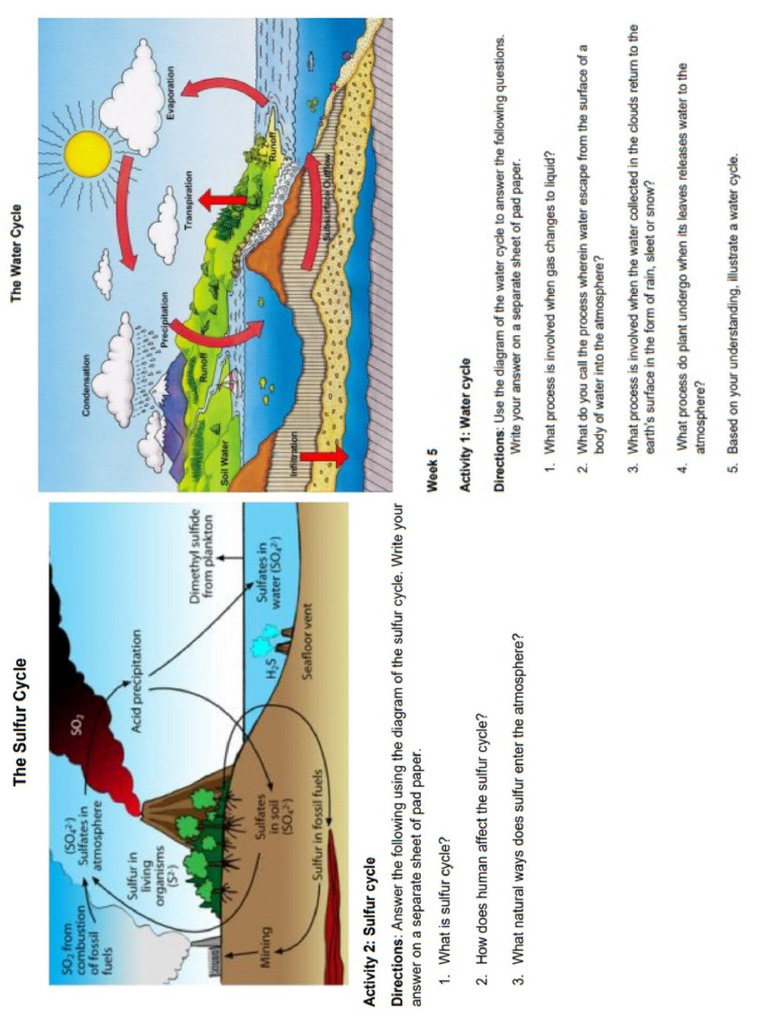 Cycles | PDF