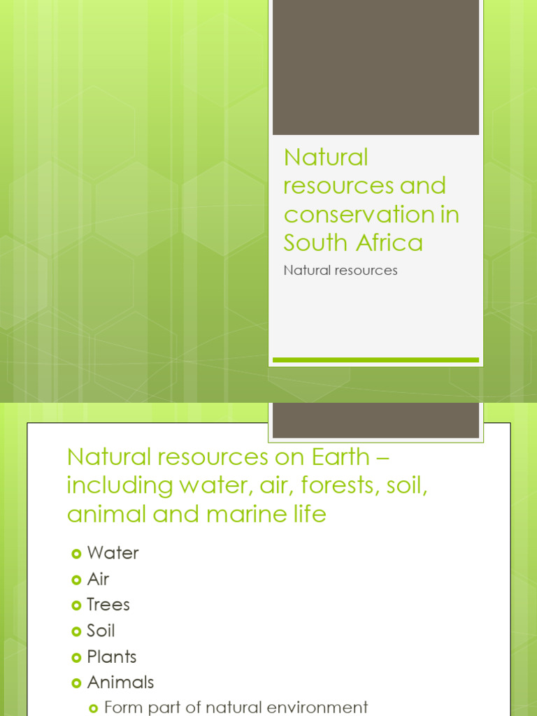 Natural Resources and Conservation in SA | PDF