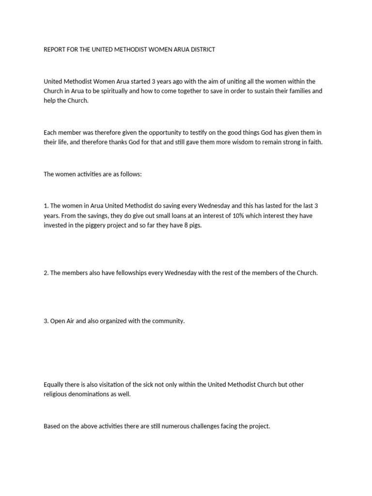 Report For The-Wps Office | PDF