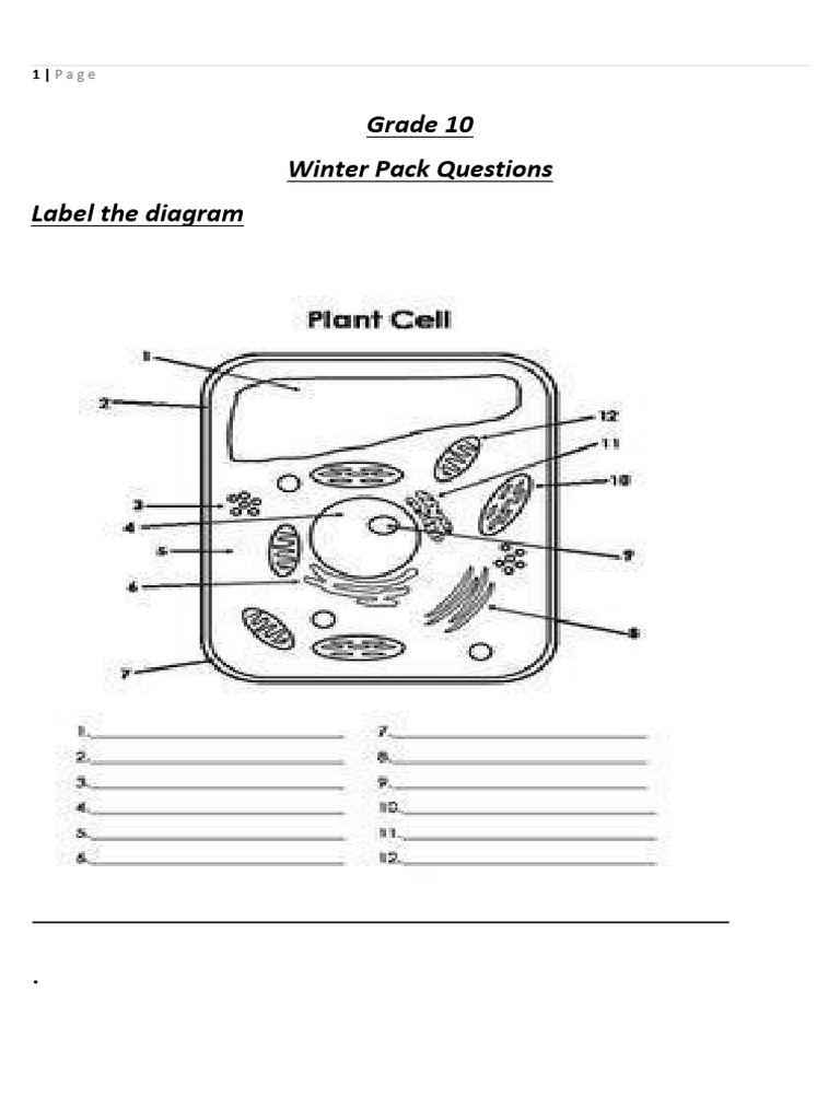 Grade 10 Cell Biology Winter Pack | PDF | Mitosis | Meiosis