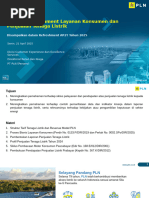 Company Profile PLN | PDF