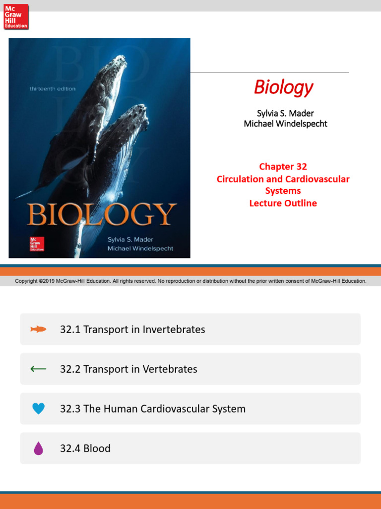 Cardiovascular and Circulatory Systems | PDF | Heart Valve | Heart