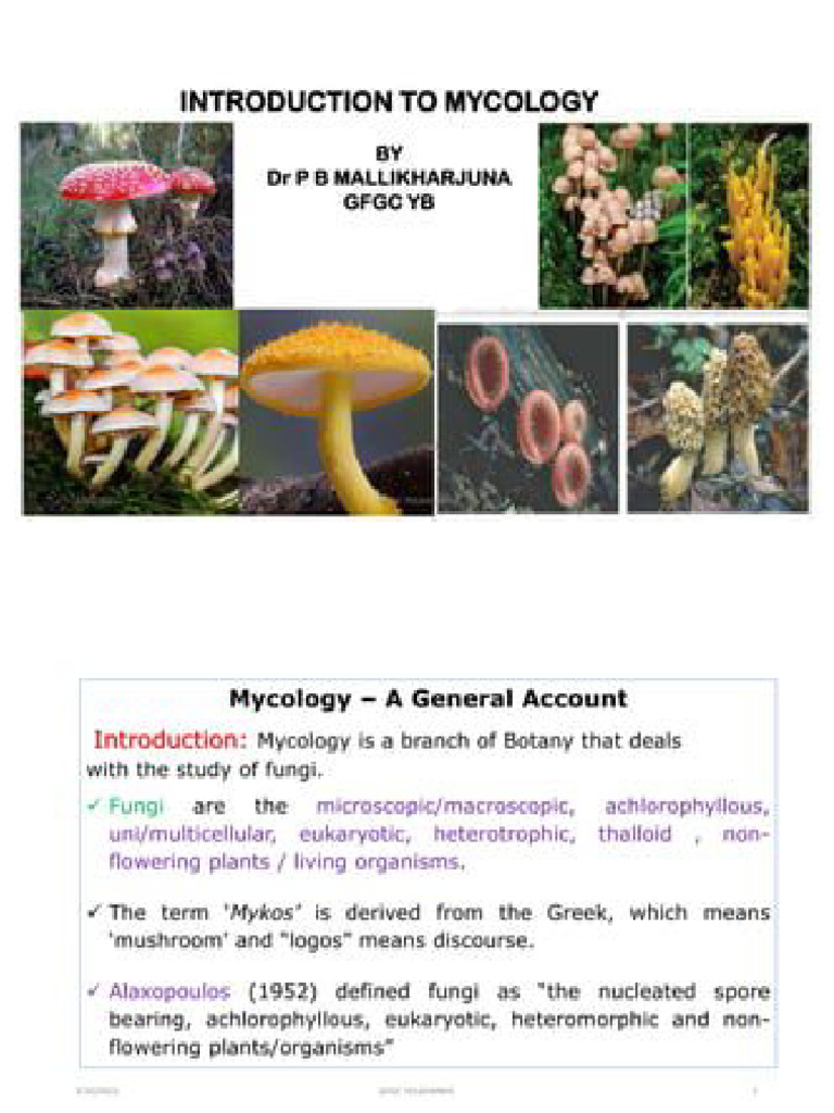 An Introduction To Fungi PDF 1 320 | PDF