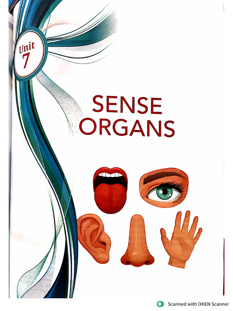 Physiology of Sensory Organ | PDF