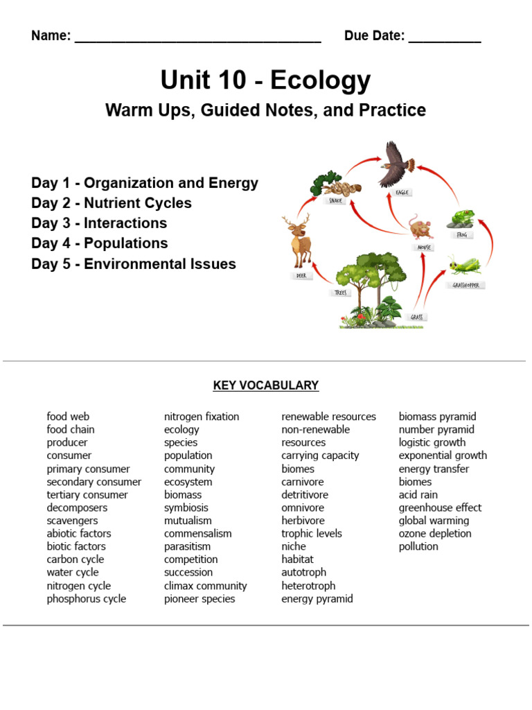 Organt Unit 10 (Ecology) Packet | PDF | Food Web | Ecology