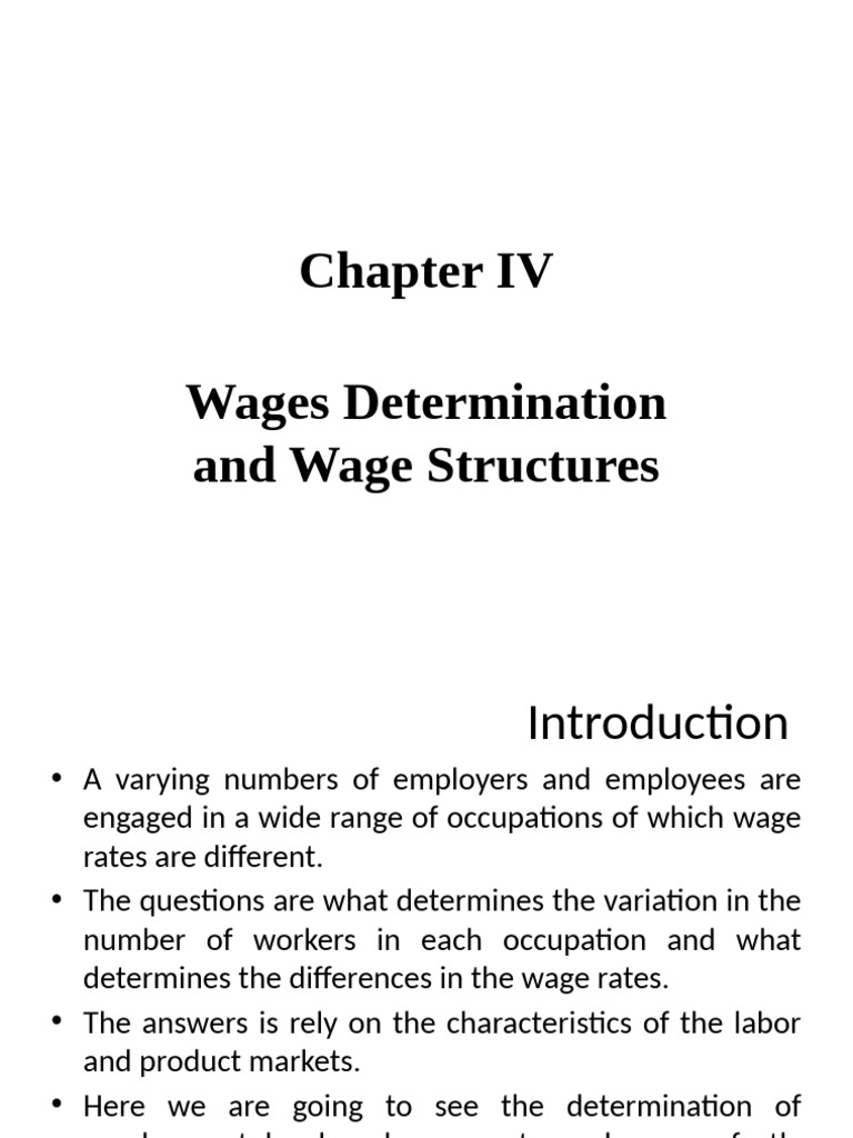 Wage Determination in Labor Markets | PDF | Labour Economics | Employment