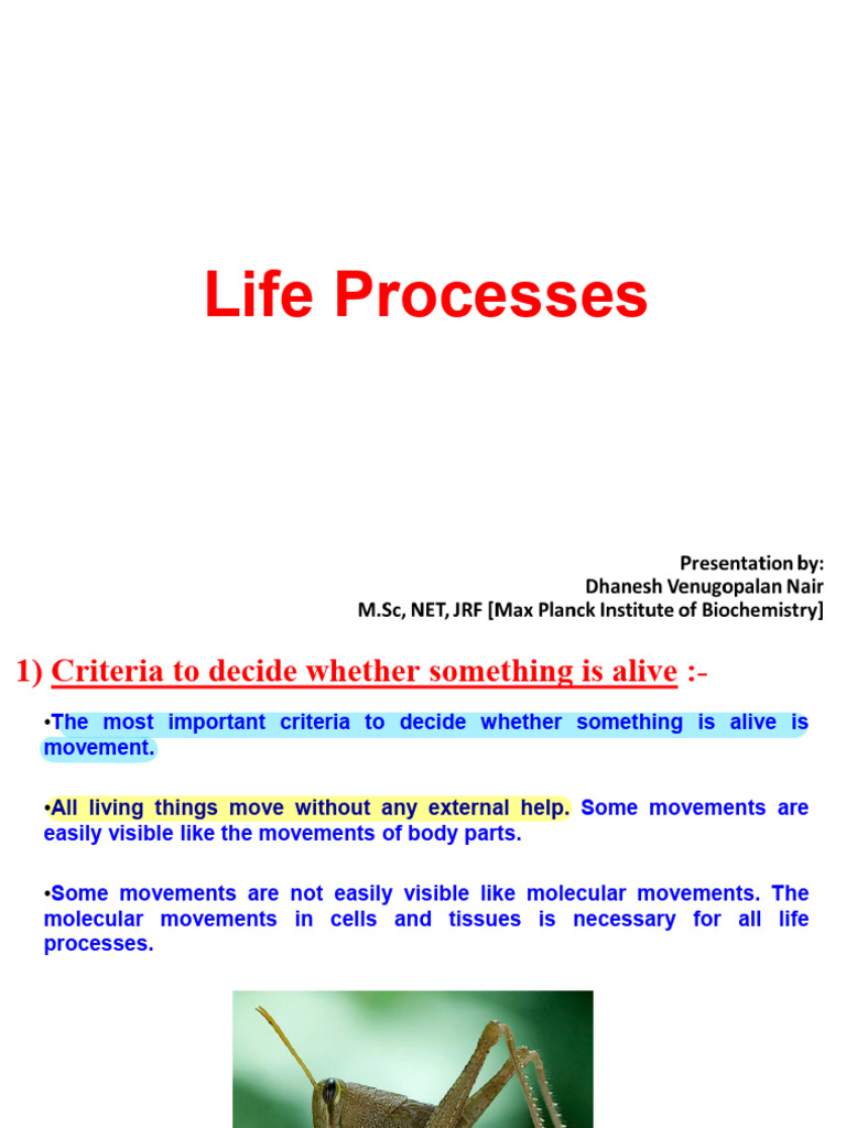 Understanding Life Processes and Nutrition | PDF | Atrium (Heart ...