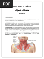 Anatomia do Pescoço: Estruturas e Funções | PDF | Tireoide | Anatomia