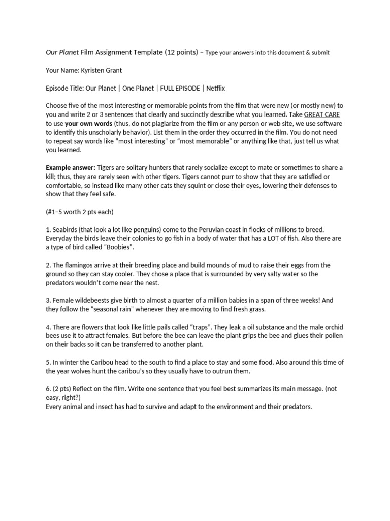 Our Planet Assignment Template-22S | PDF