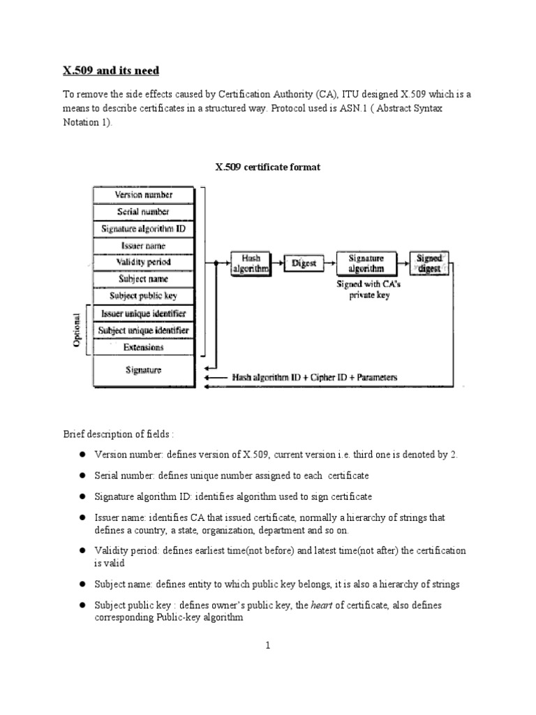 Cns Report | PDF | Public Key Cryptography | Public Key Certificate