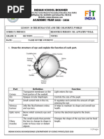 Class10 Human Eye Notes | PDF | Eye | Human Eye