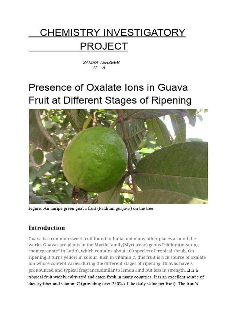 Presence of Oxalate Ions in Guava Fruit at Different Stages of Ripening ...