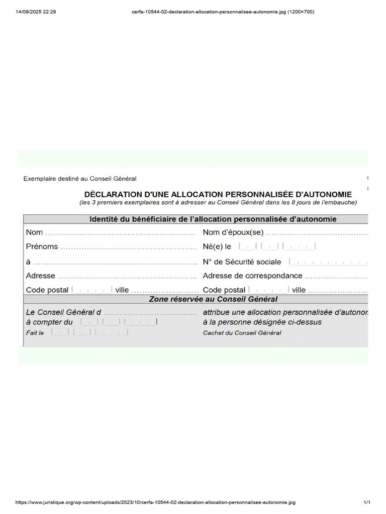 Cerfa 10544 02 Declaration Allocation Personnalisee Autonomie | PDF