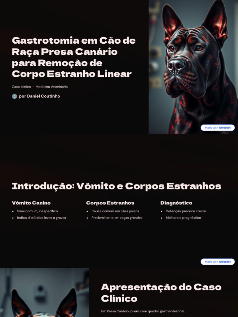 Gastrotomia Em Cao de Raca Presa Canario Para Remocao de Corpo Estranho Linear | PDF | Cães | Vômito