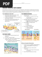 Amoeba Sisters Video Recap | PDF | Cell Membrane | Cell (Biology)
