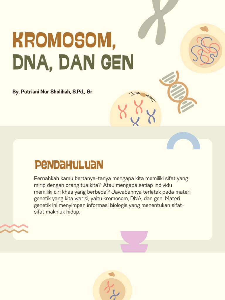 Presentasi Pendidikan Biologi Kromosom, DNA, Dan Gen Krem Ilustrasi ...