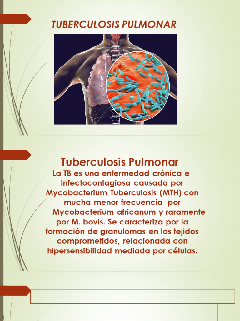 Tuberculosis Pulmonar | PDF | Tuberculosis | Enfermedades y trastornos