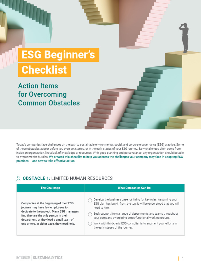 ESG Beginners Checklist Action Items | PDF | Business | Economies