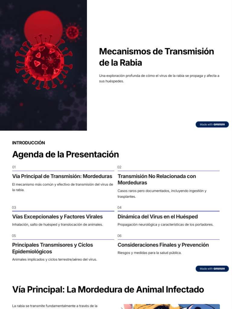 Mecanismos de Transmision de La Rabia | PDF | Rabia | Biología