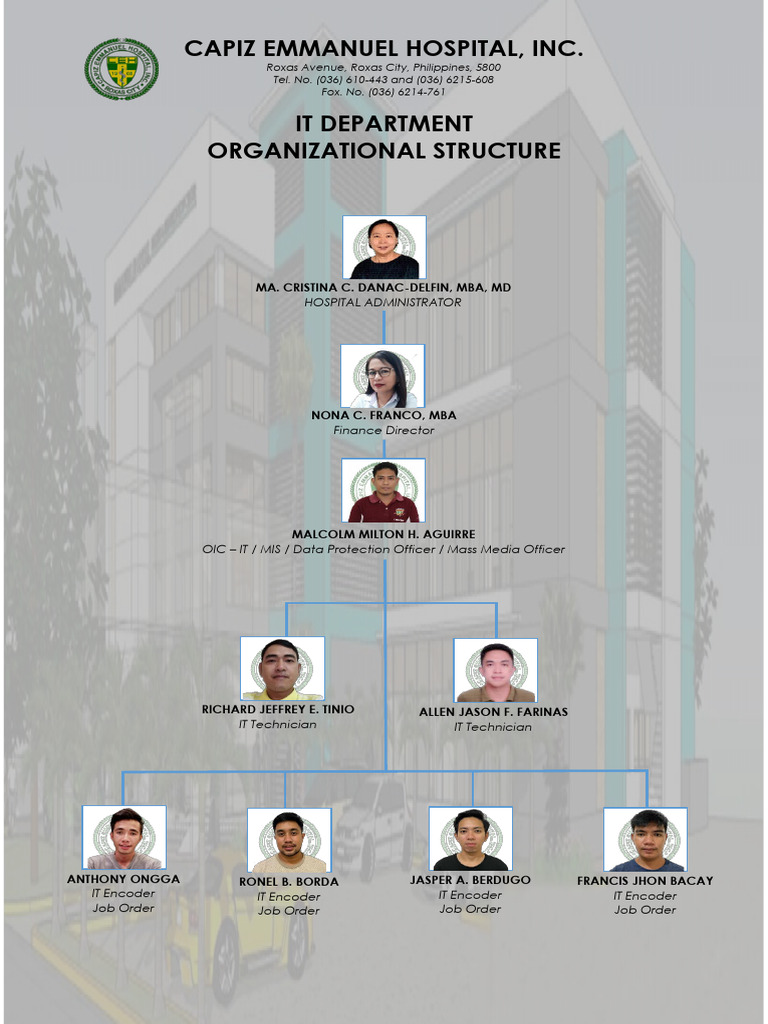 IT Organizational Structure | PDF