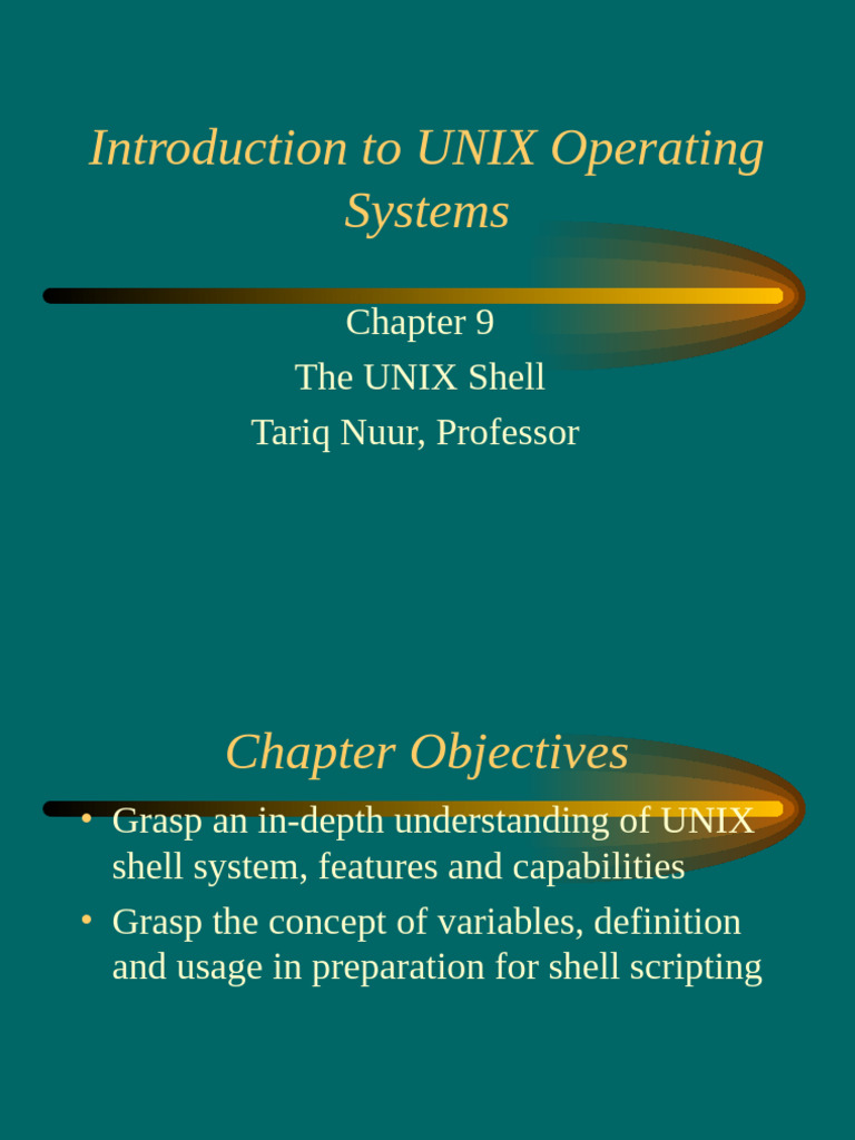 Understanding the UNIX Shell Basics | PDF | Computer Programming | Software