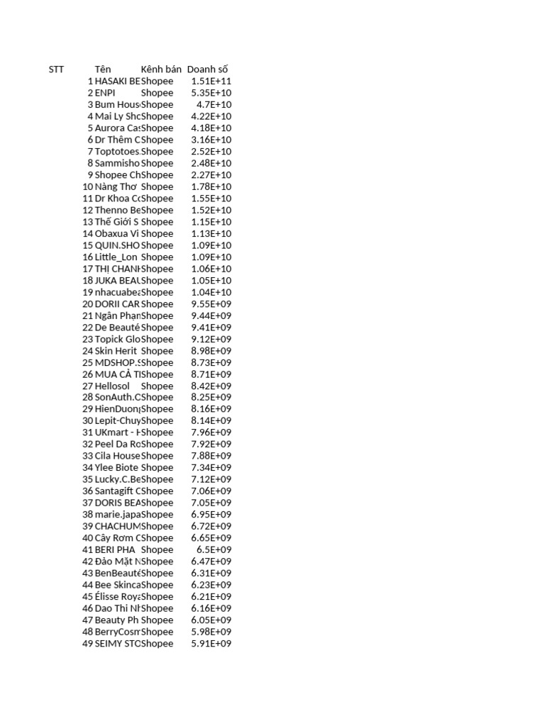 Shopee Sales Data Overview | PDF