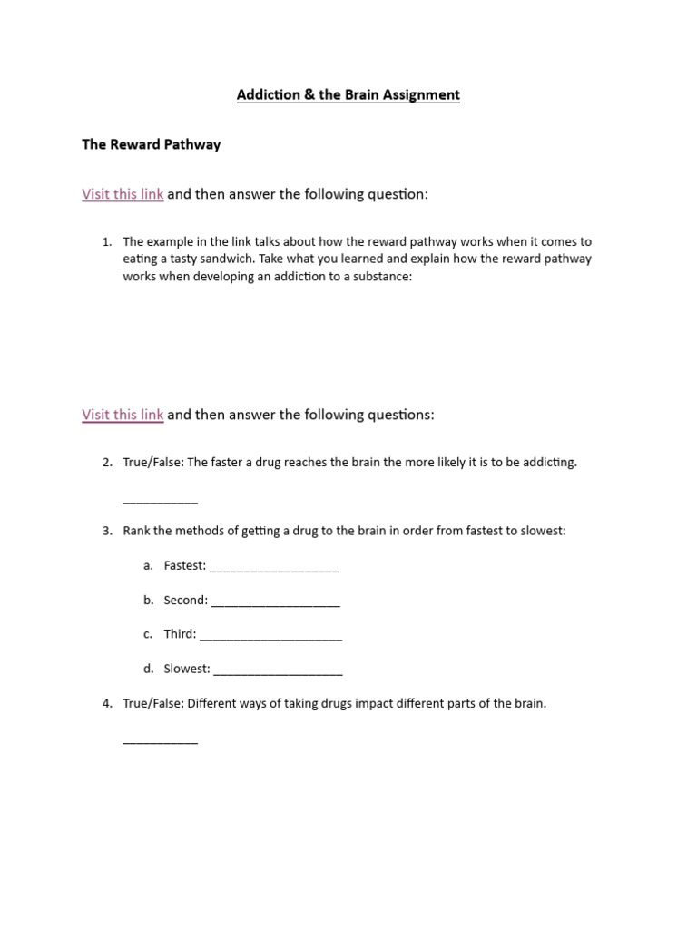 Addiction and The Brain Assignment | PDF