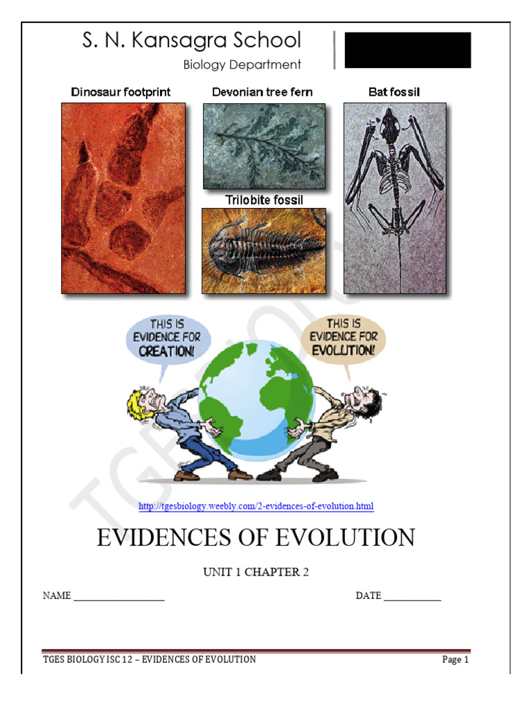 Evidence of Evolution | PDF | Homology (Biology) | Embryo