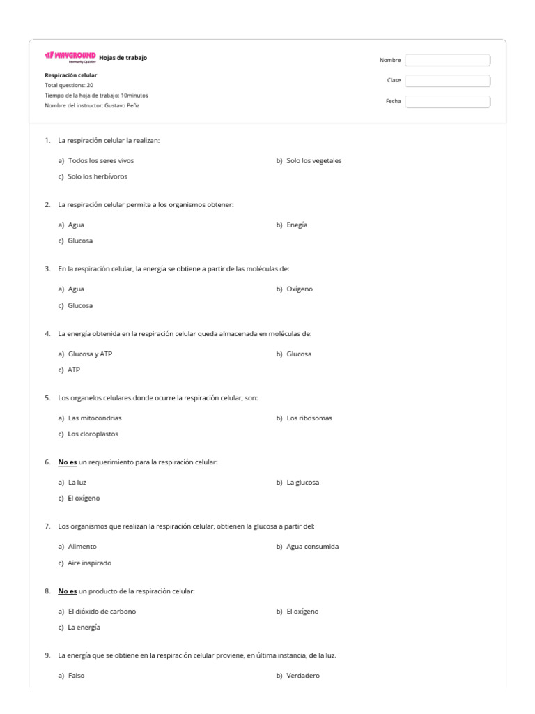 Hojas de trabajo sobre respiración celular | PDF | Respiración celular ...