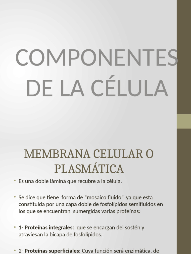 Componentes y funciones de la célula | PDF | Citoplasma | Biología Celular)