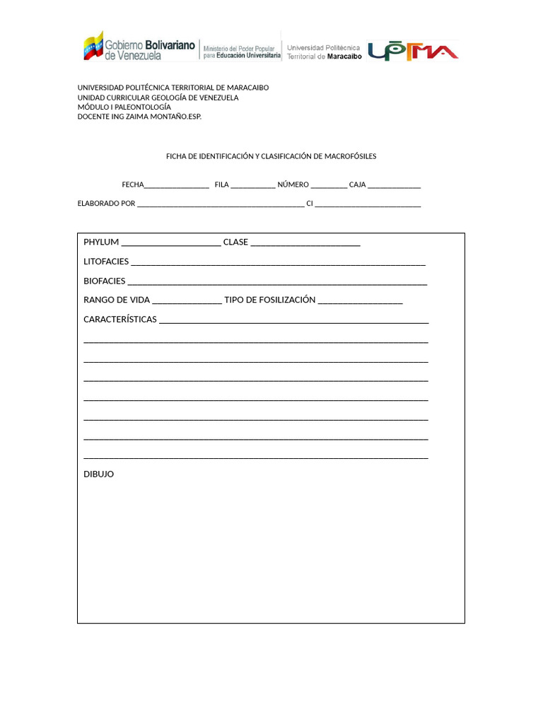 Ficha de Clasificación de Macrofósiles | PDF