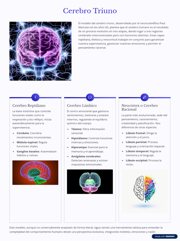 Cerebro Triuno | PDF | Cerebro | Las emociones