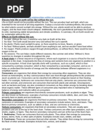 Daintree Rainforest Food Web Overview | PDF