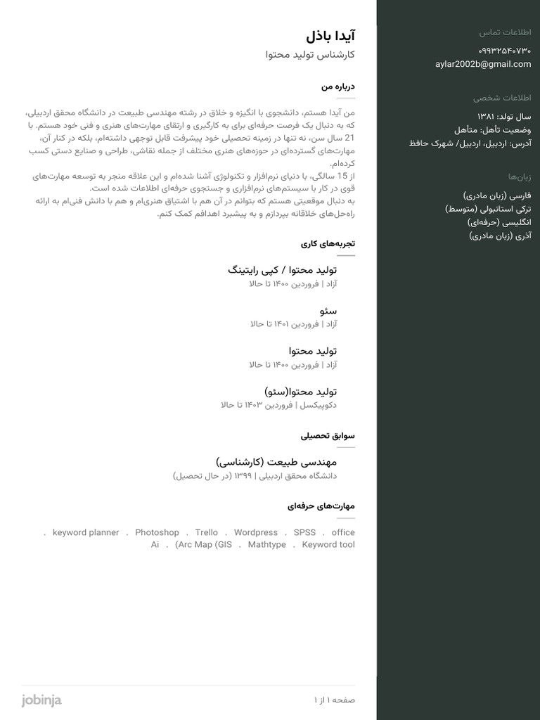 Aida Bazel CV | PDF