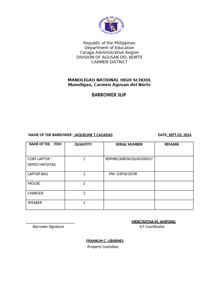 Barrower Slip 2024 | PDF