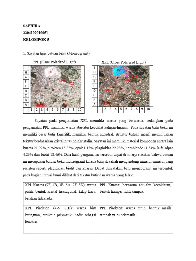 Analisis Sayatan Tipis Batuan Geologi | PDF
