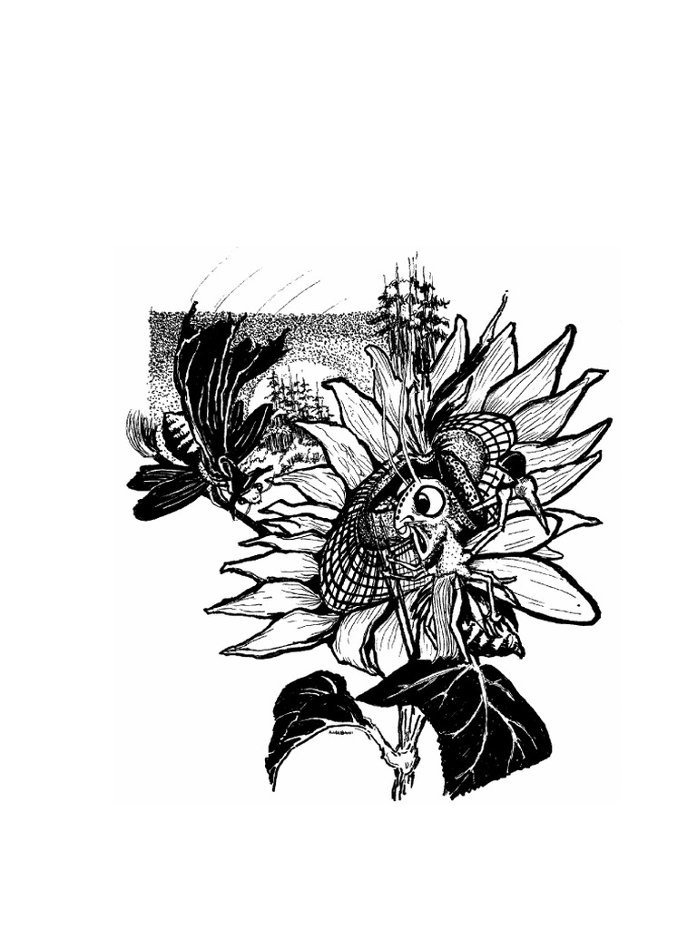 Insect Ecology and Food Chains Explained | PDF | Parasitism | Pollination