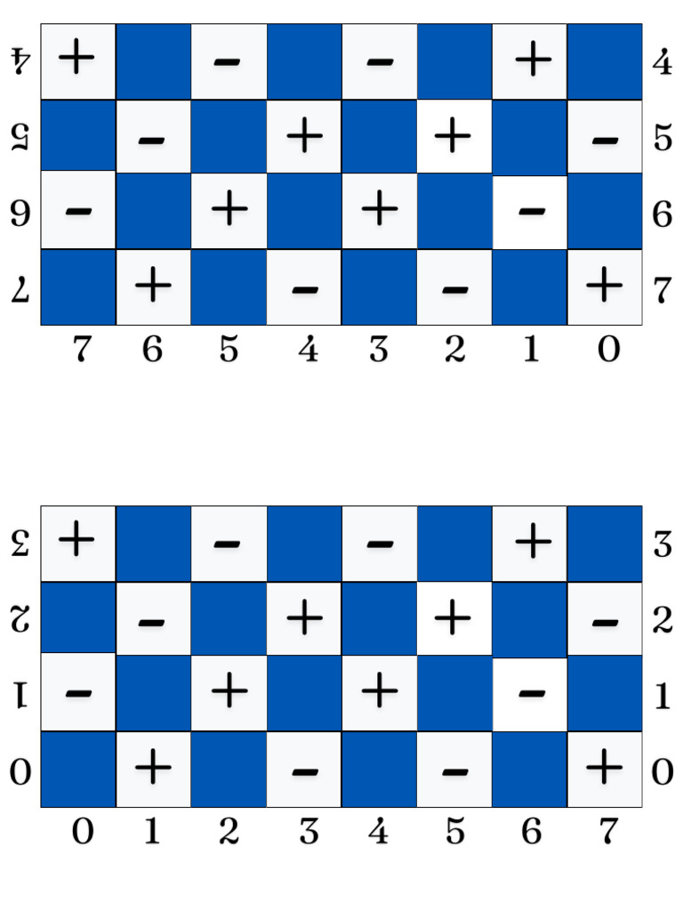 Sci Dama Board 2024 | PDF