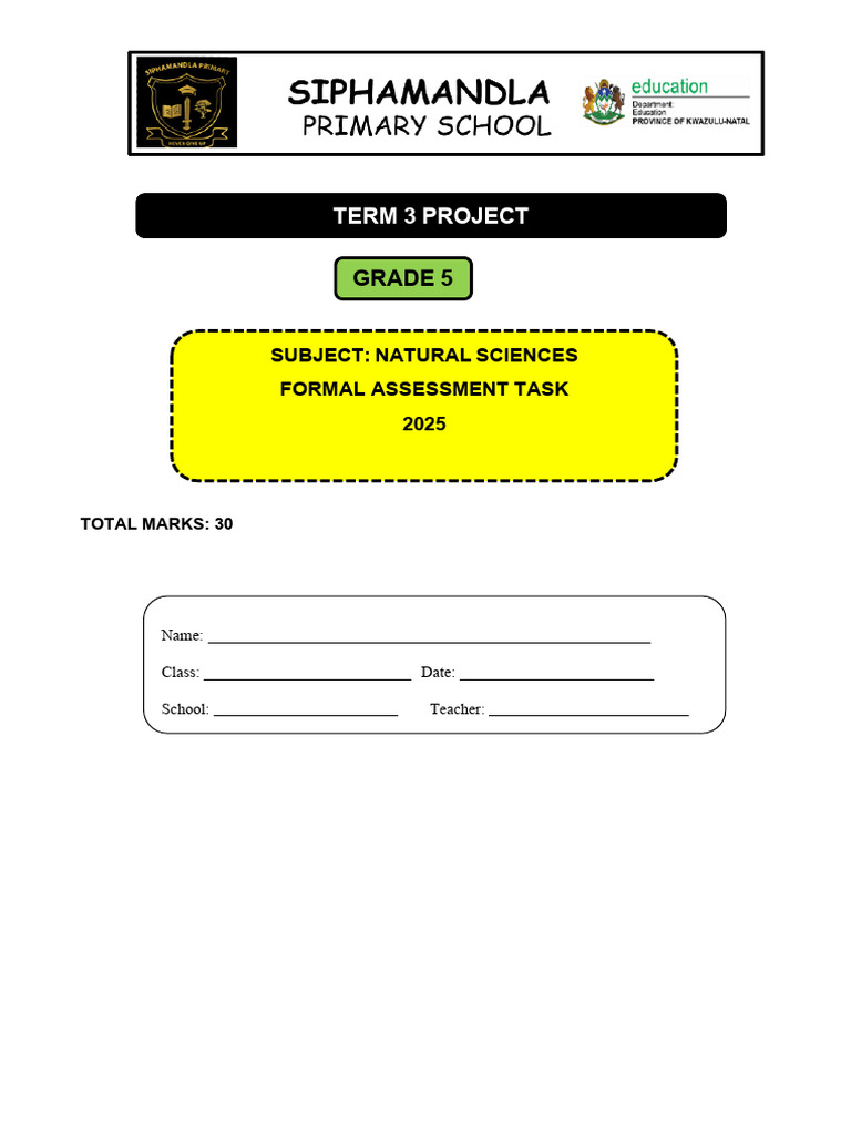 2024 NST Grade 5 Term 3 Practical Task | PDF | Electricity | Flashlight