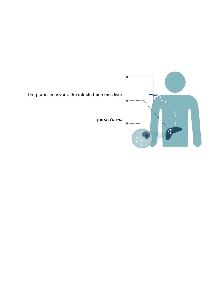 Malaria: Symptoms and Prevention Tips | PDF